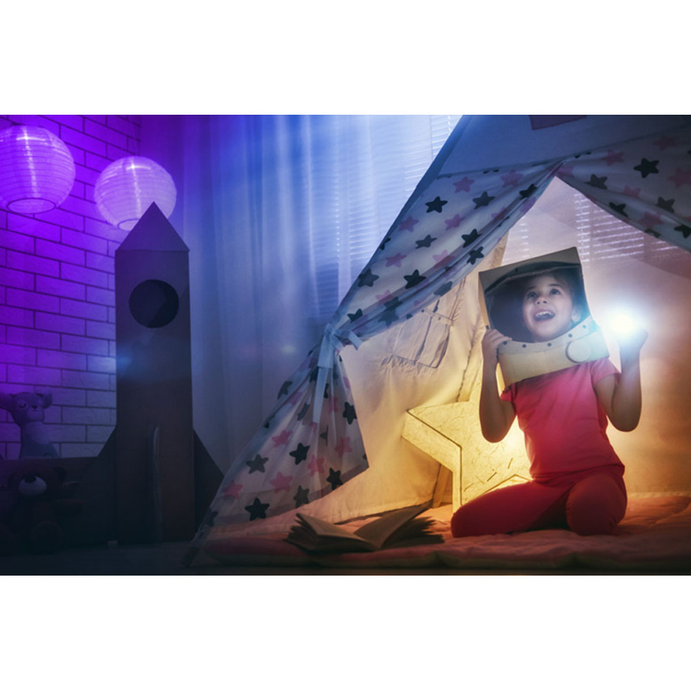 Commande éclairage à distance - NICE TT2L - Domotique et maison connectée - Dom Automatismes